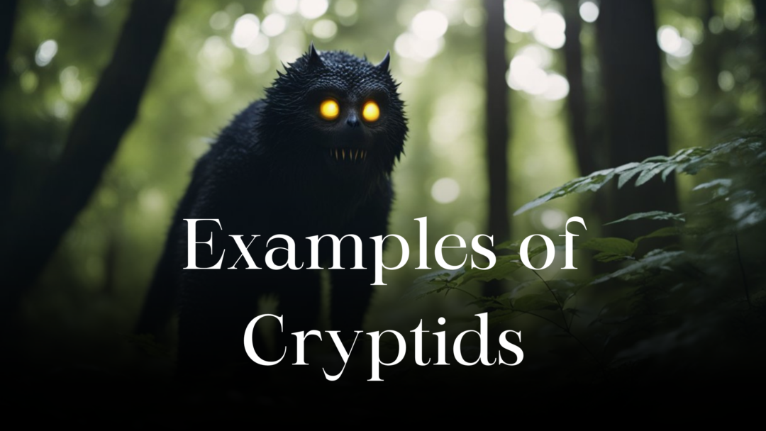 Examples of Cryptids - Mythical Encyclopedia