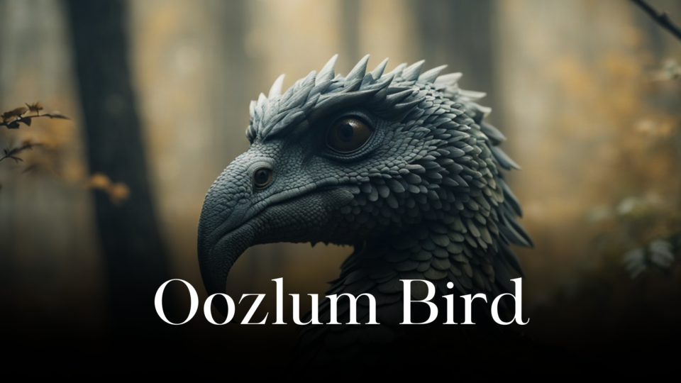 Oozlum Bird: Mythical Creatures - Mythical Encyclopedia